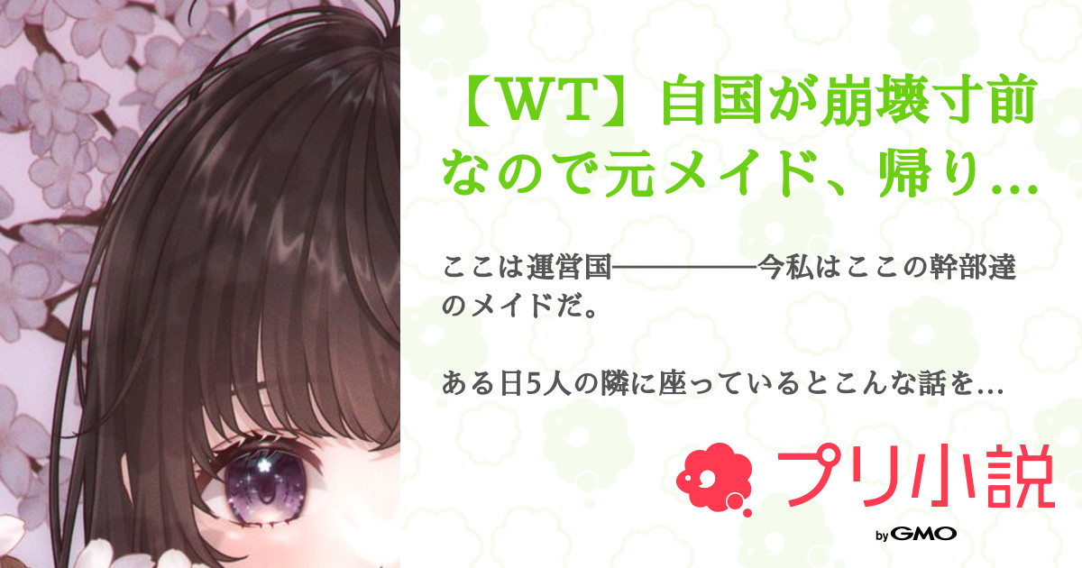 第2話：1話/噂（【WT】自国が崩壊寸前なので元メイド、帰ります。）｜無料スマホ夢小説ならプリ小説 byGMO